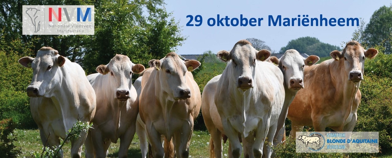Programma NVM 29 oktober - Blonde d’Aquitaine Stamboek Nederland
