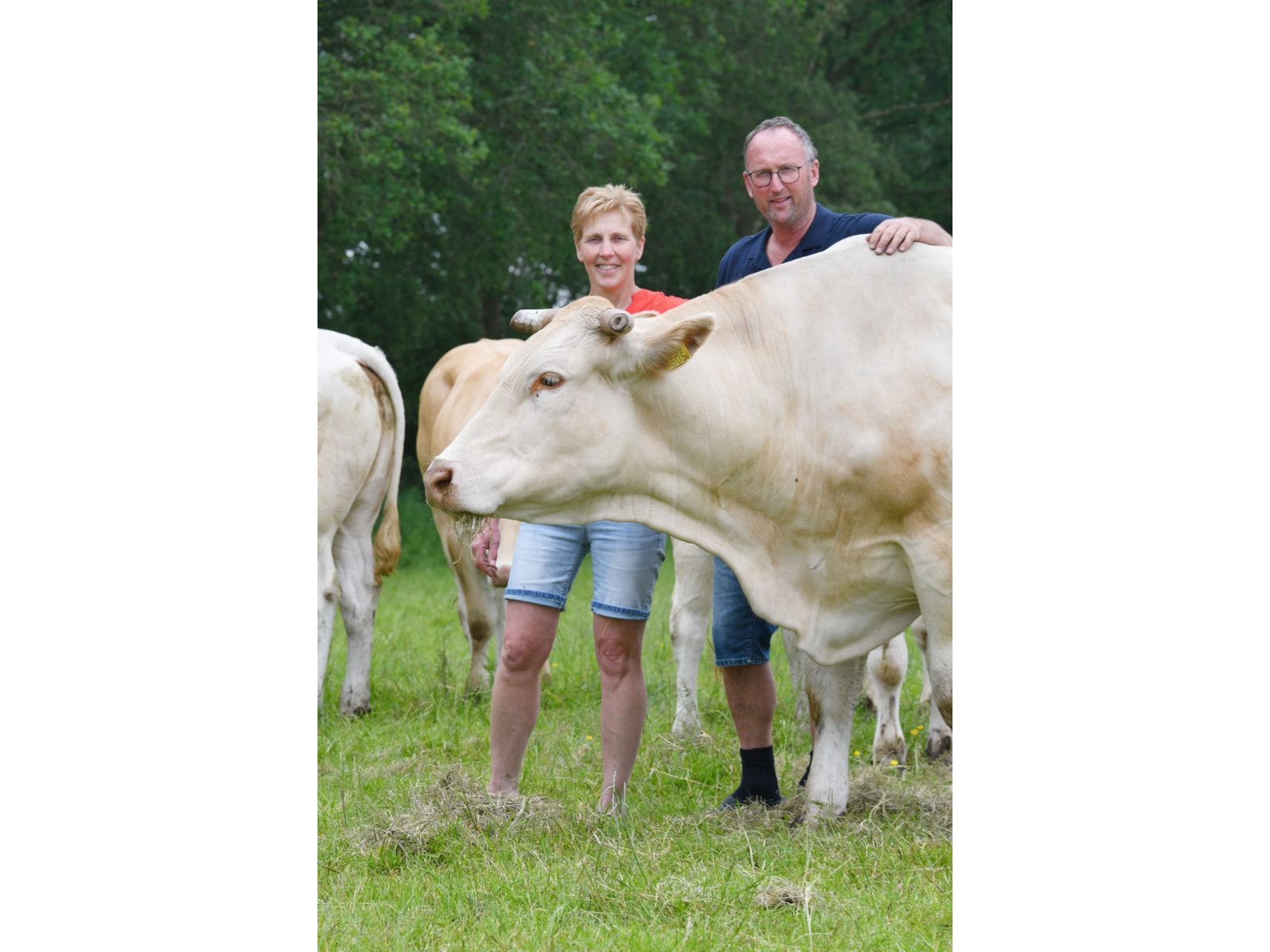 Johan van der Veen in de Blonde | Ik hou niet van half werk - Blonde d ...